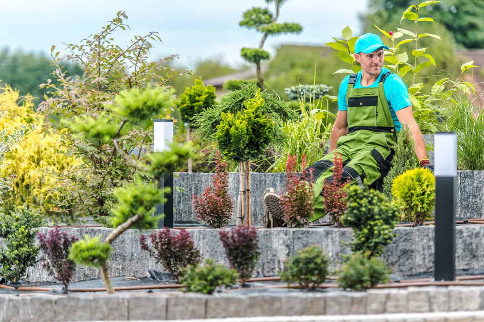 What Does a Garden Designer Do? - All County Landscape Hardscape