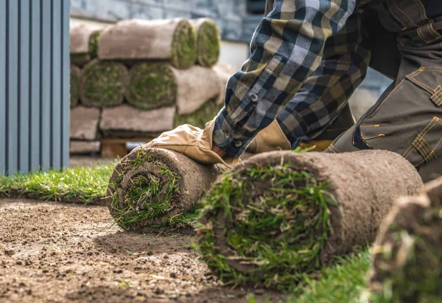 How Can Sod Installation Transform Your Outdoor Space?